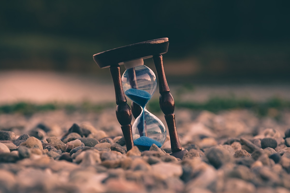 SaaS Exit Timeline - Livmo